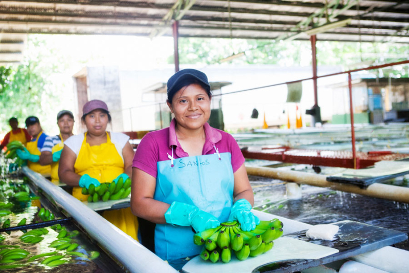 Press Release | Fairtrade Pioneer Agrofair Becomes First Dutch ...